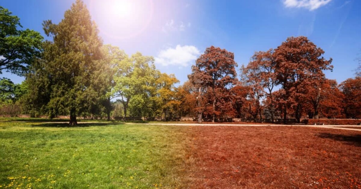 Back to Purpose: Reconnect with your Coaching Journey… - Full Circle